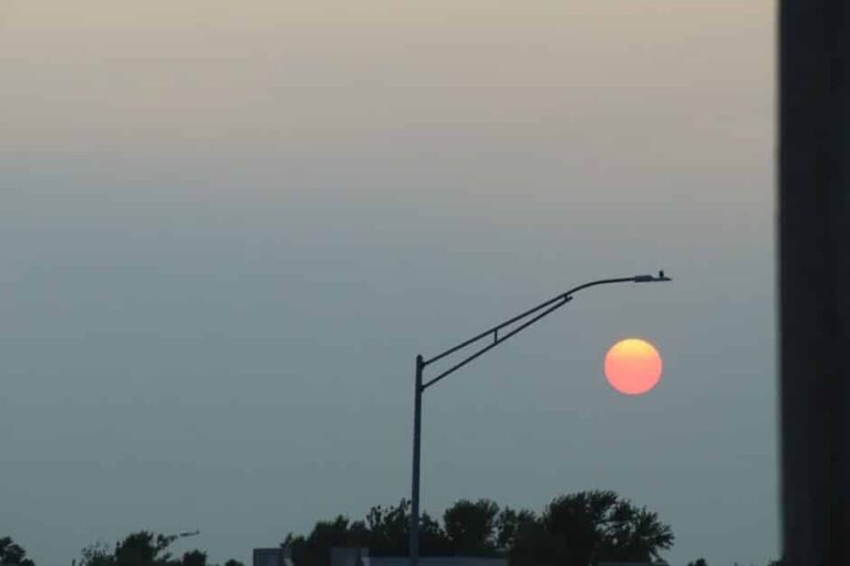 2 percent drop in global ozone pollution due to lockdown