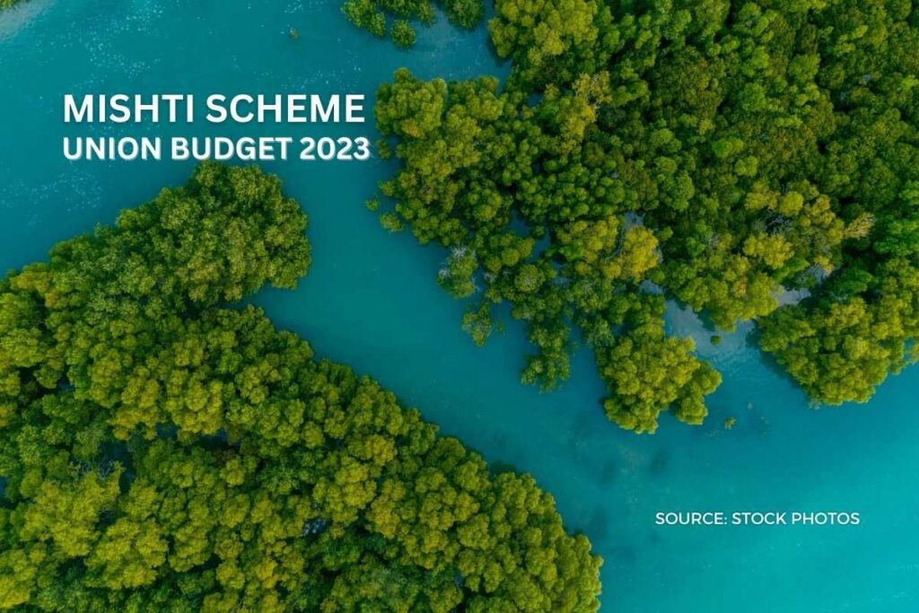 What is MISHTI, to save mangroves, and what do experts say?