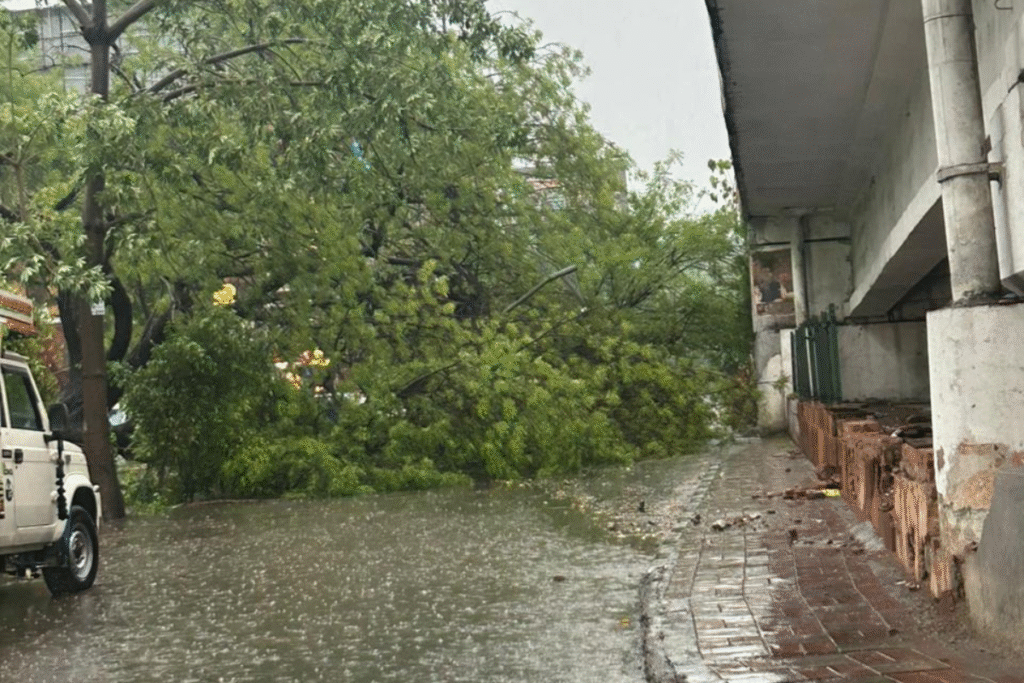 Heavy Rains Trigger Flood-like Situation in Madhya Pradesh