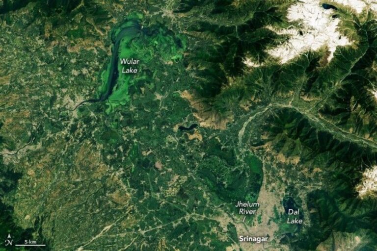 “We are beautifying wound”: Wular Lake, restoration, and people of Kashmir
