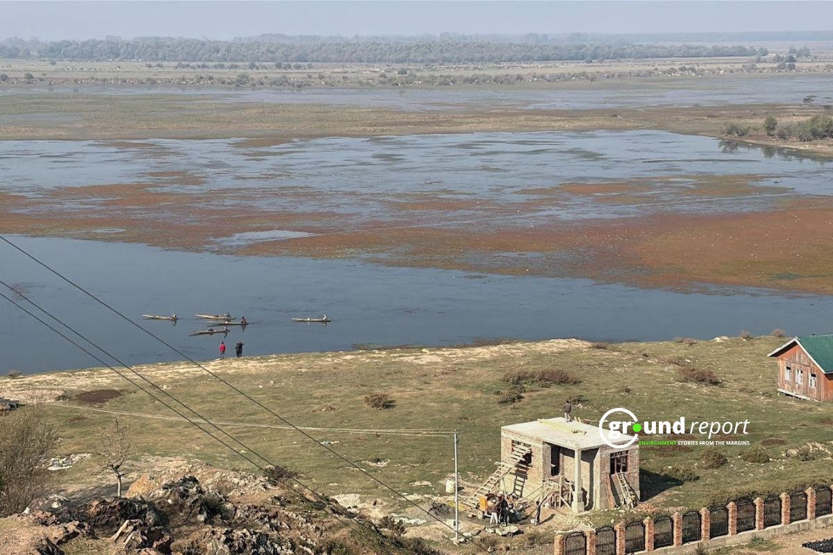 “We are beautifying wound”: Wular Lake, restoration, and people of Kashmir
